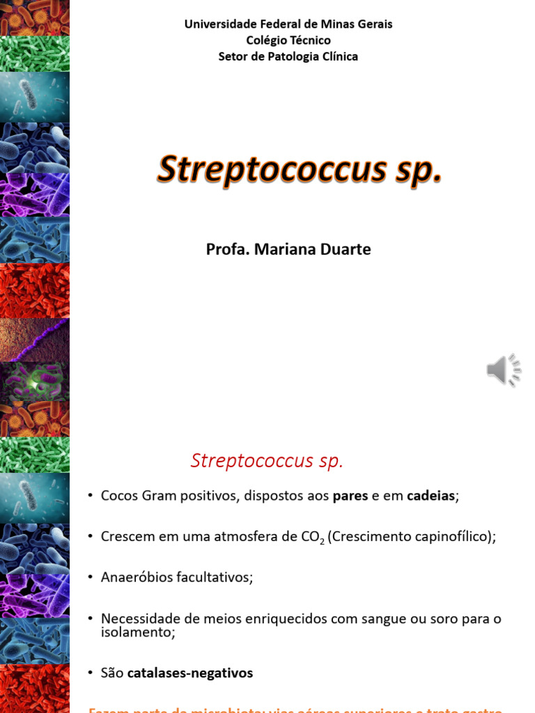 Aula 1 Streptococcus e Enterococcus | PDF | Estreptococos | Especialidades médicas