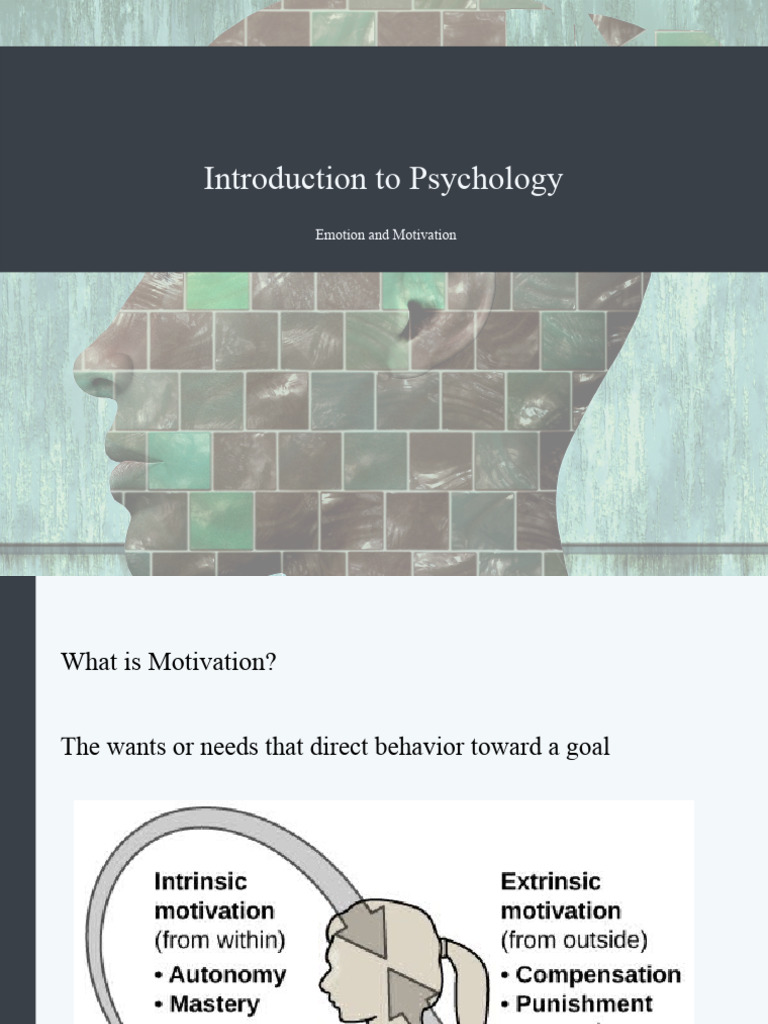 Emotion and Motivation | PDF | Emotions | Motivation