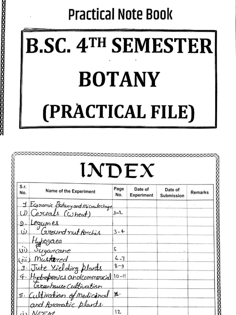 B.sc. 4th Sem Botany Practical File | PDF
