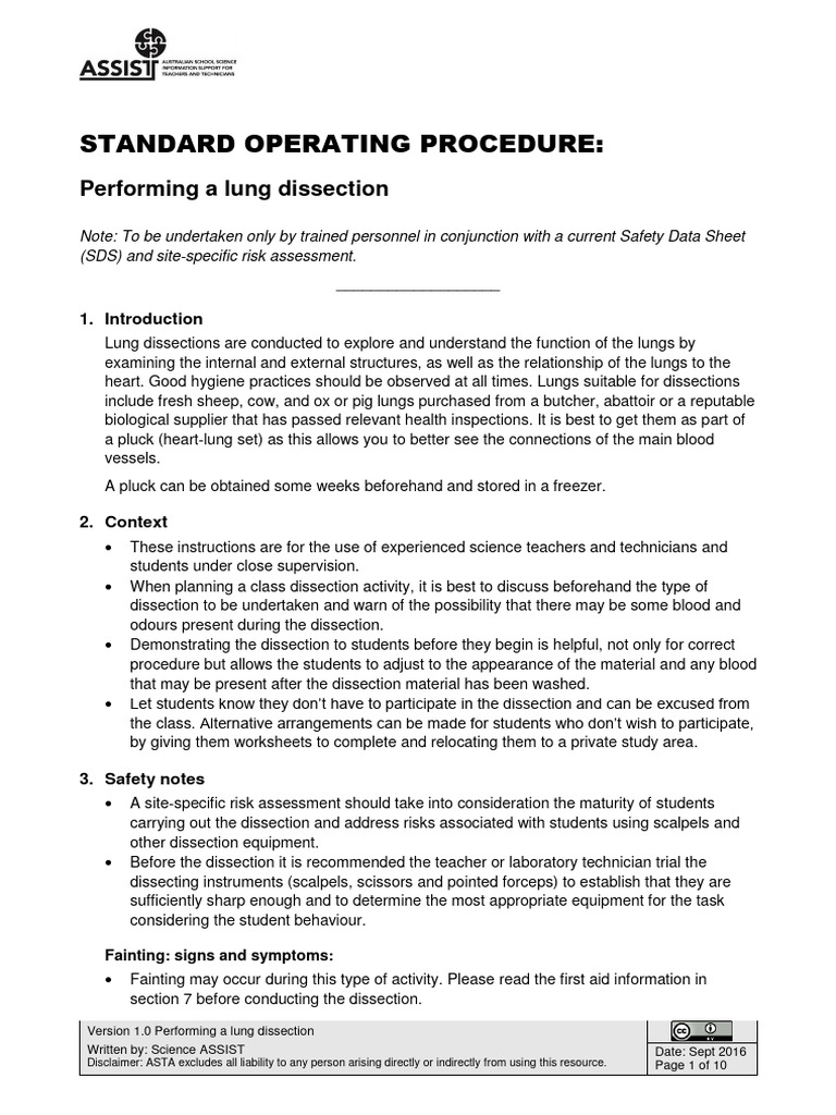 Lung Dissection Guidelines for Educators | PDF | Lung | Heart