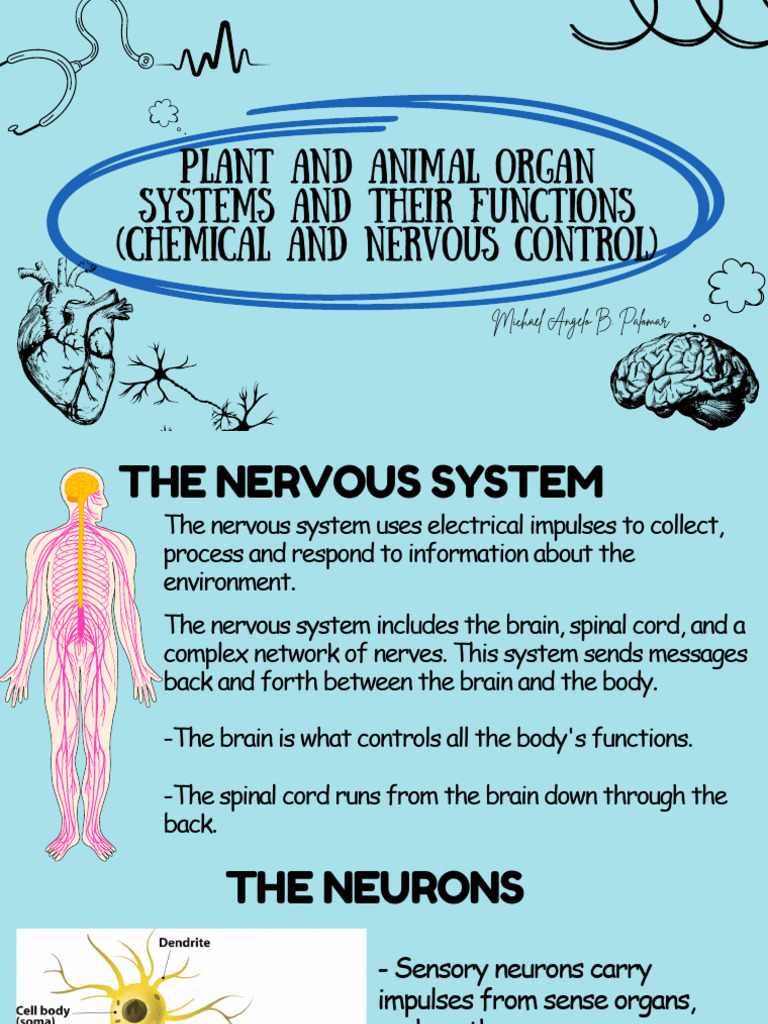 General Biology 2 2 | PDF | Nervous System | Plant Hormone