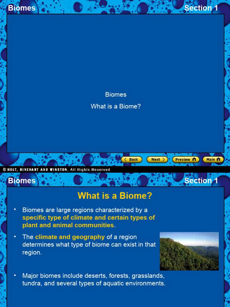 Biomes | PDF | Rainforest | Grassland