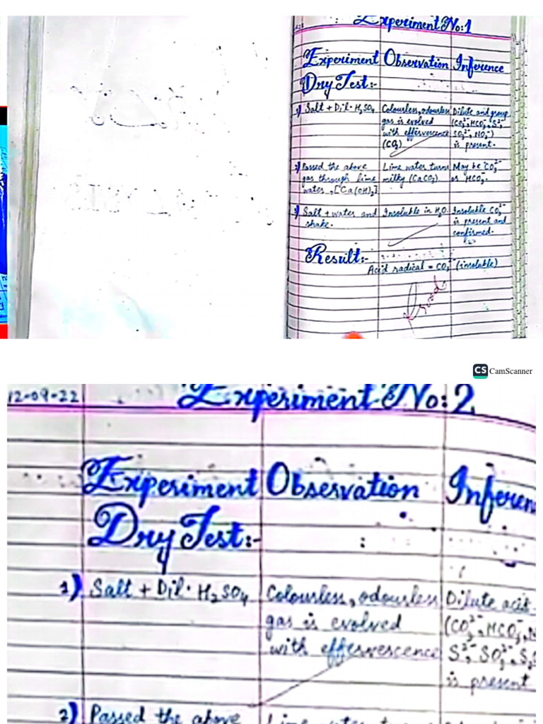 Chemistry Practicals Part-2 | PDF