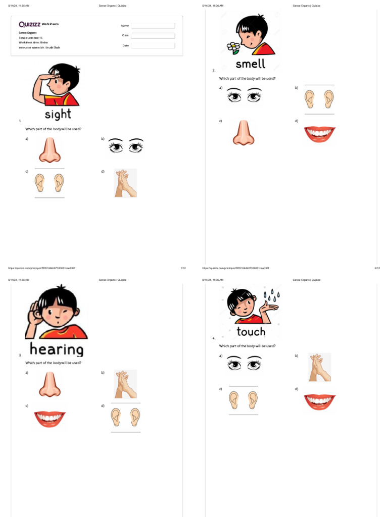 Sense Organs Quiz for Students | PDF