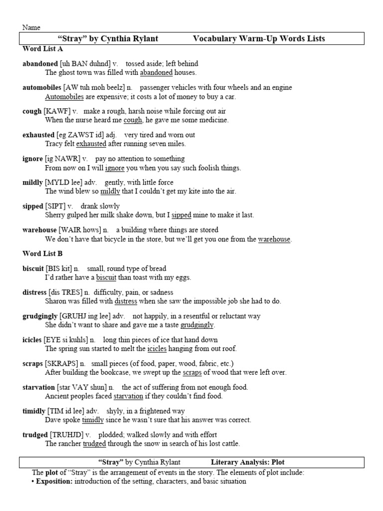 Vocabulary and Plot Analysis for "Stray" | PDF | Plot (Narrative)