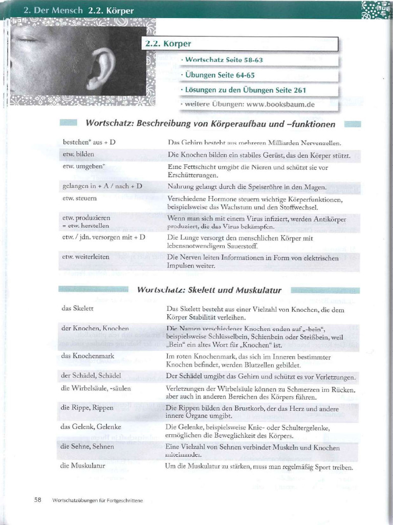 Lektion 3 - Koerper | PDF