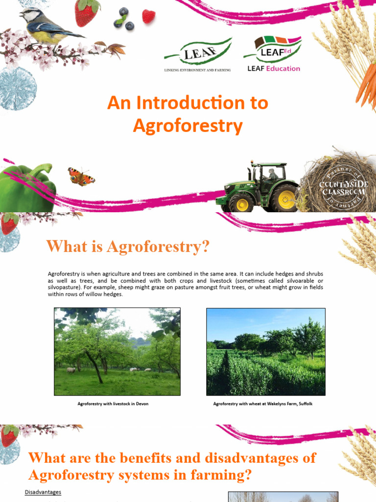 Leaf Education Introduction To Agroforestry | PDF | Agriculture | Hedge
