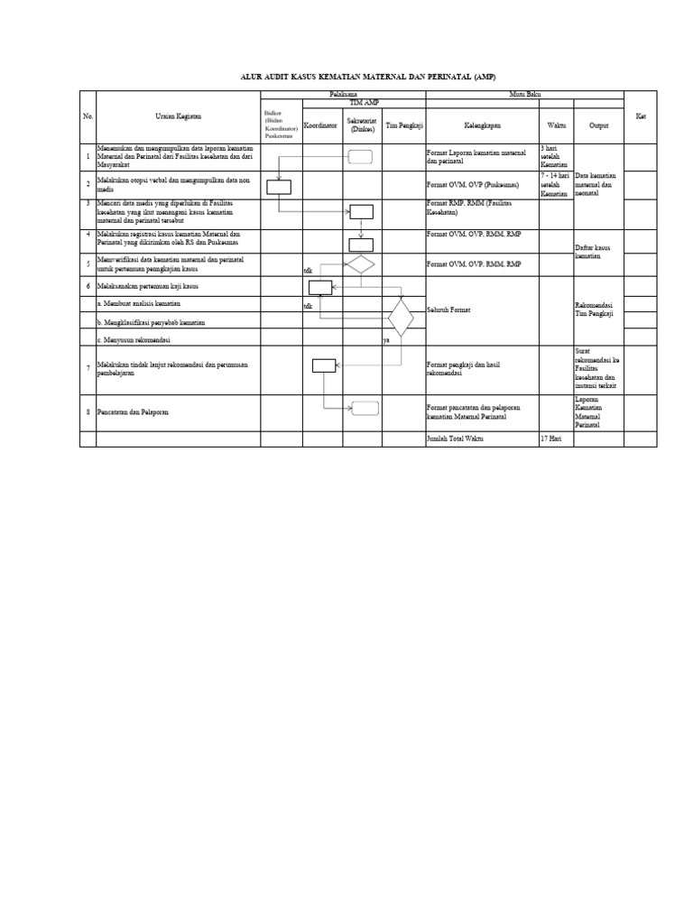 Alur Audit Maternal Perinatal (Amp) | PDF
