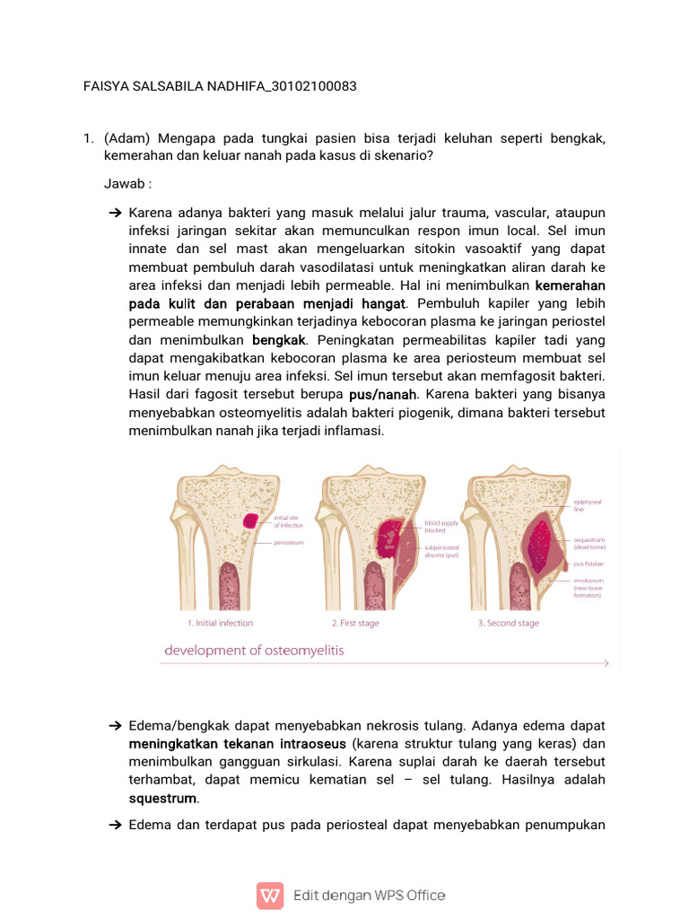 Li LBM 4 Faisya Masalah Integumen-1 | PDF