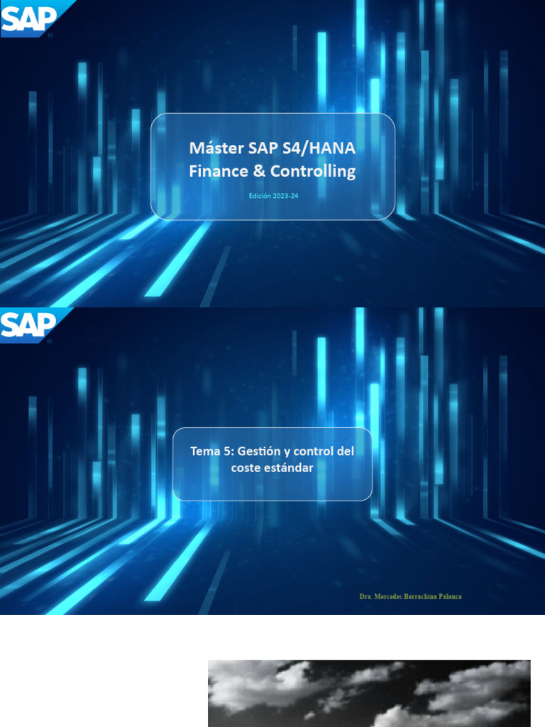 Coste EstÃ¡ndar | PDF | Presupuesto | Economias