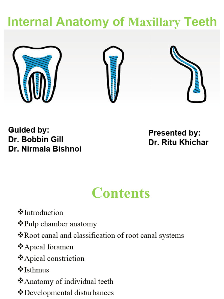 Anatomy and Classification of Tooth Isthmus | PDF | Human Tooth | Mouth