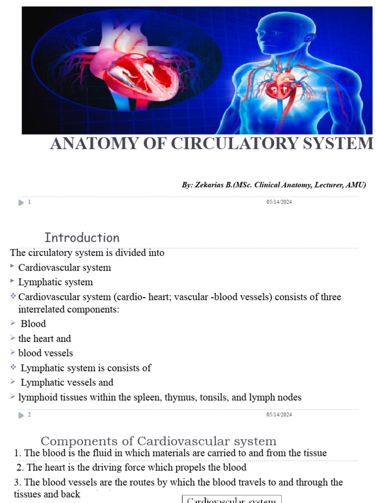 Circulatory System (CVS) For Med Lab | PDF | Heart Valve | Atrium (Heart)