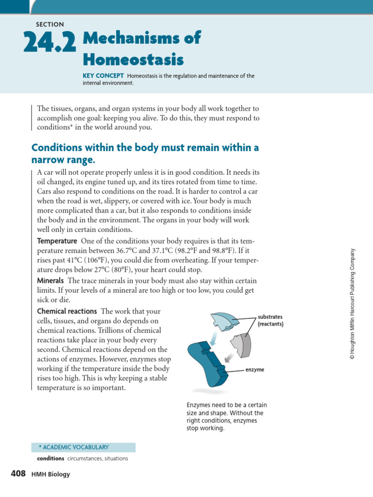 Interactive Reader 24.2 | PDF | Human Body | Homeostasis