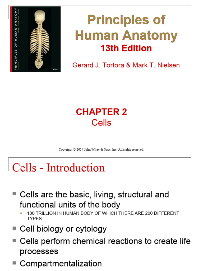 Pha13e ch02 Lecture | PDF | Cell Membrane | Mitosis