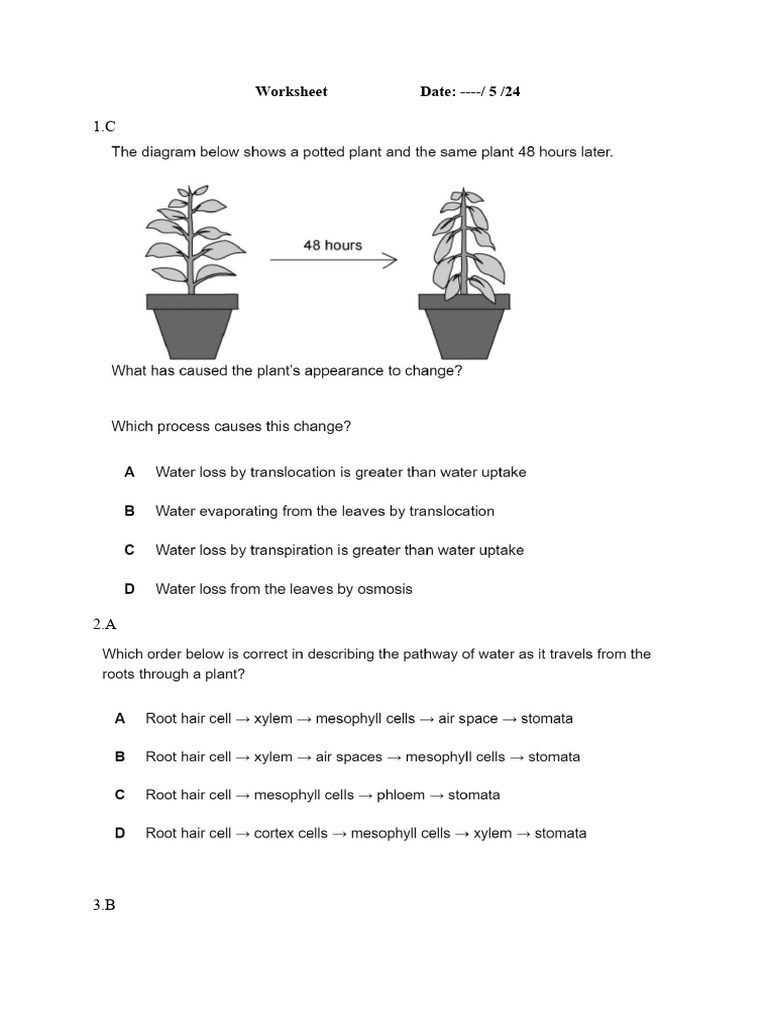 645550103 Ch 8 Transport in Plants Worksheet 1 Answer | PDF | Stoma | Leaf