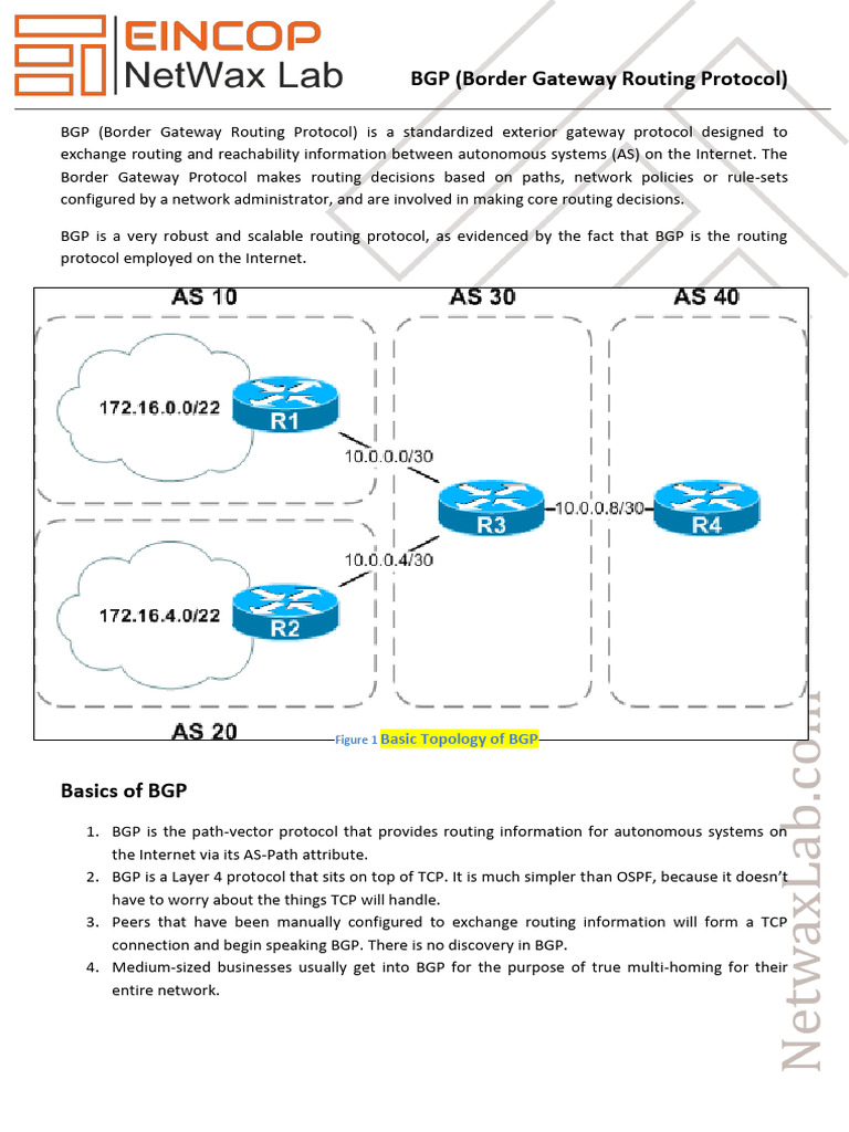 NXLD41 BGP (Border Gateway Routing Protocol) | PDF | Routing | Computer Science