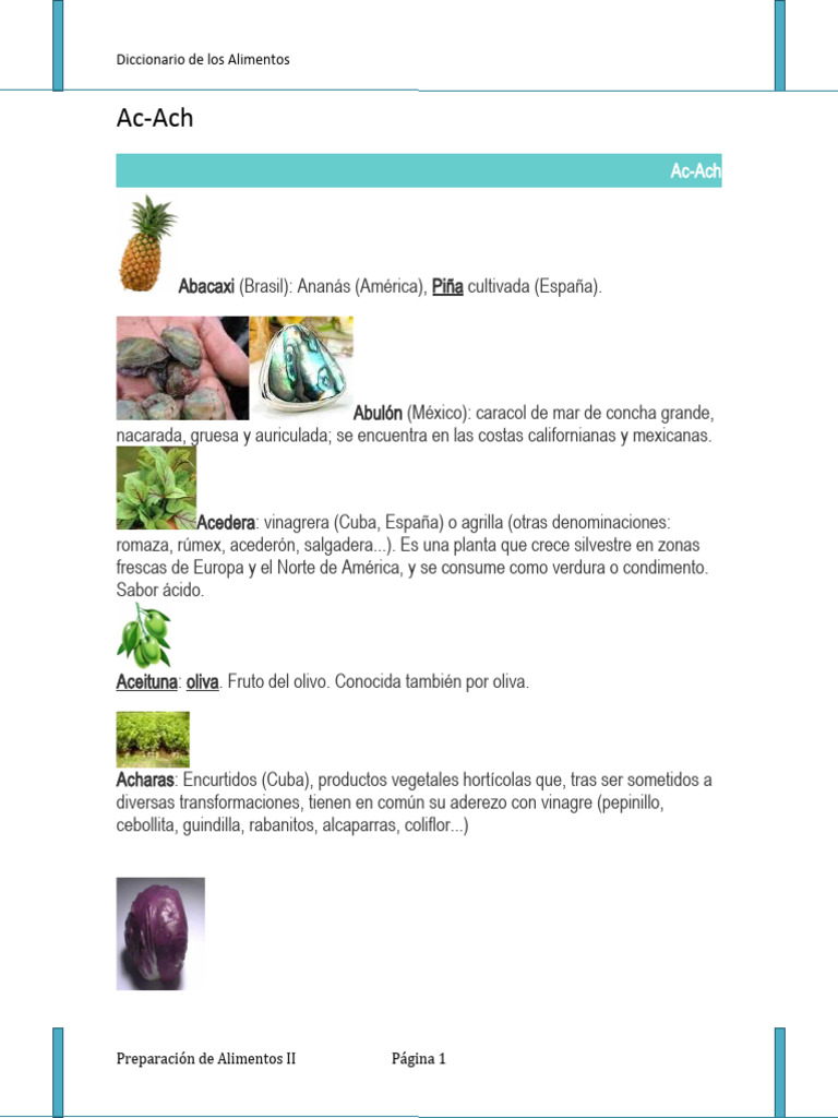 Diccionario de Los Alimentos | PDF | Menudencias | Maíz