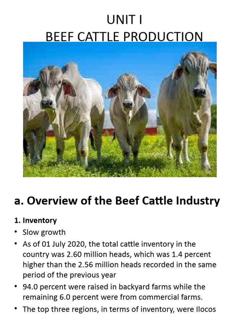 Unit I Beef Cattle Production | PDF | Cattle | Dairy Cattle