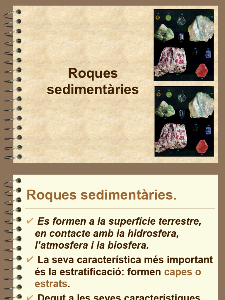 ROQUES Sedimentã Ries 2 | PDF