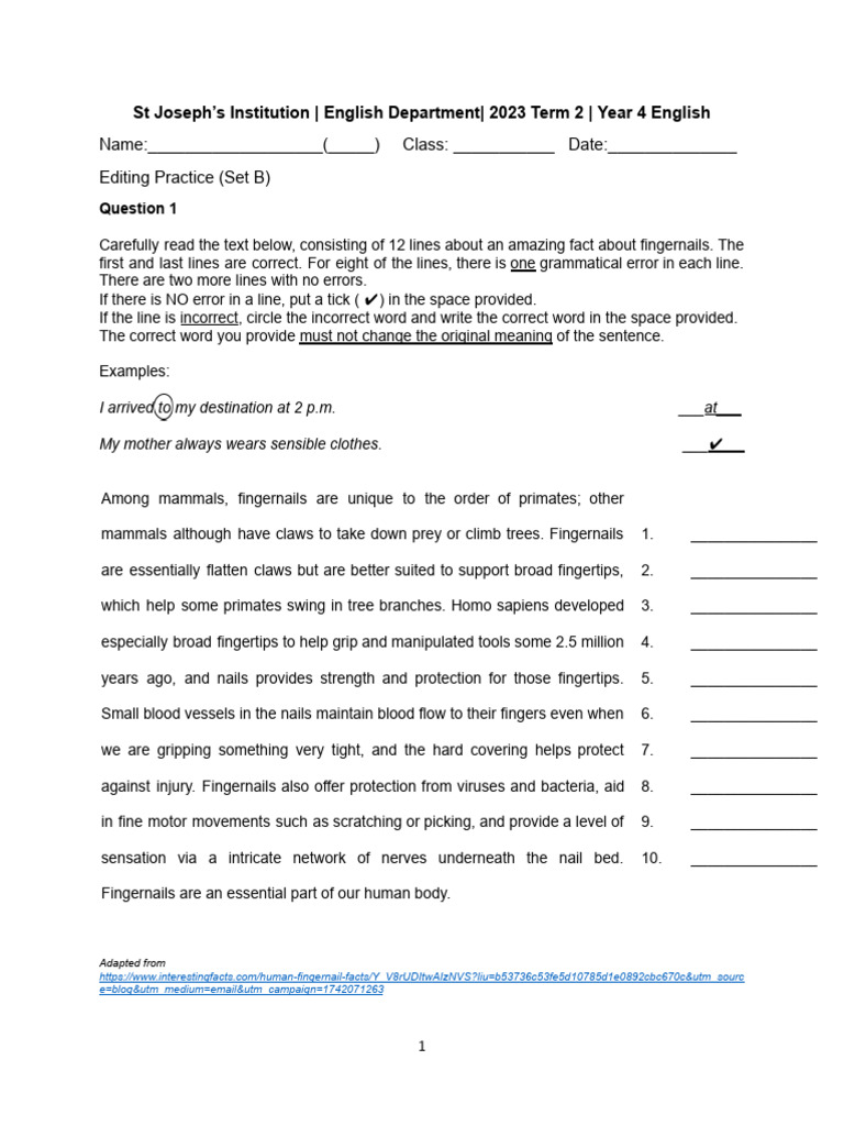 Editing Practice Set B | PDF | Bone | Nail (Anatomy)