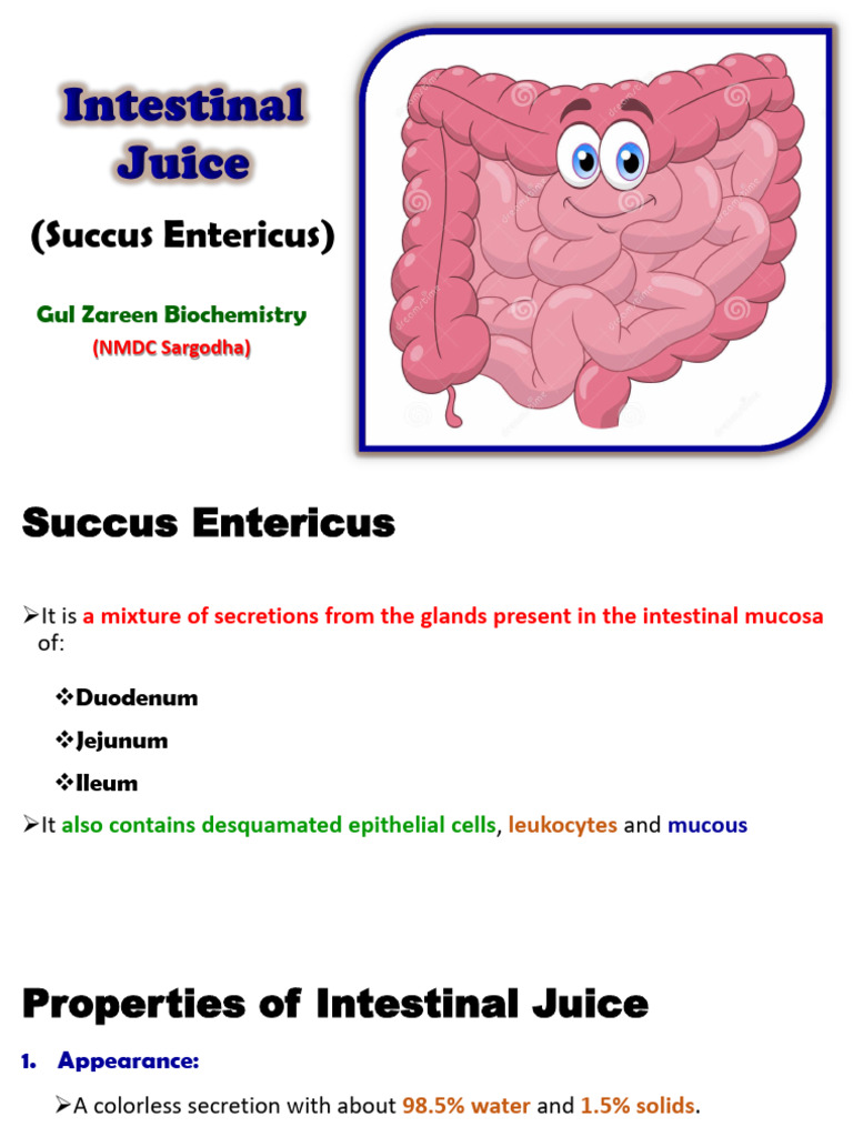 Intestinal Juice | PDF | Digestion | Hydrolysis