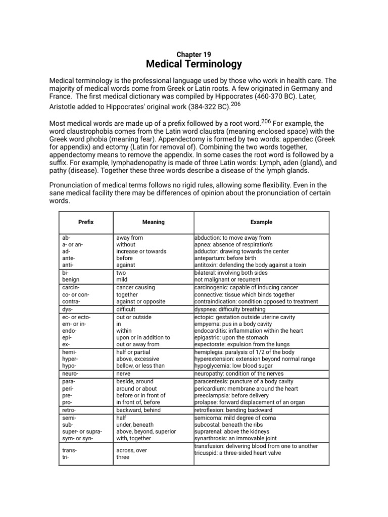 XrayMedical Terminology.htm | PDF | Bone | Knee