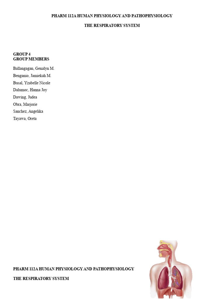 Anaphy Respiratory System | PDF | Respiratory Tract | Lung