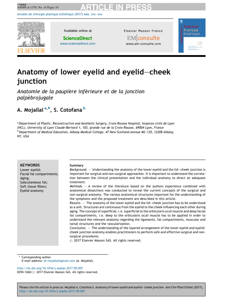 Anatomy of Lower Eyelid and Cheek Junction | PDF | Vein | Anatomical ...