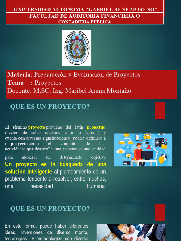 Tema 1. Proyectos y Tipos de Proyectos | PDF | Planificación | Business