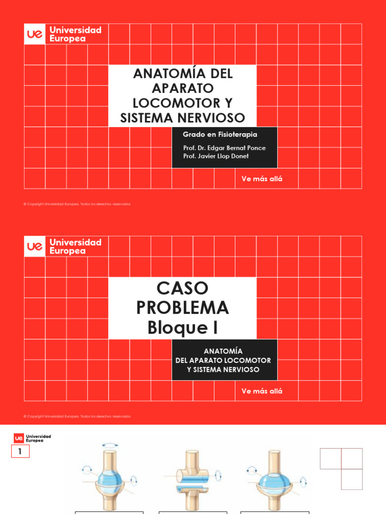 Caso-Problema Anatomía Bloque 1 | PDF | Extremidades (anatomía) | Anatomía