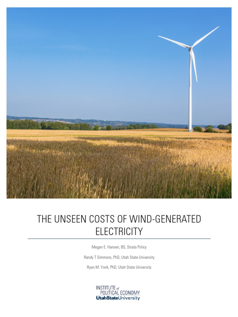 Unseen Wind Full | PDF | Wind Power | Subsidy