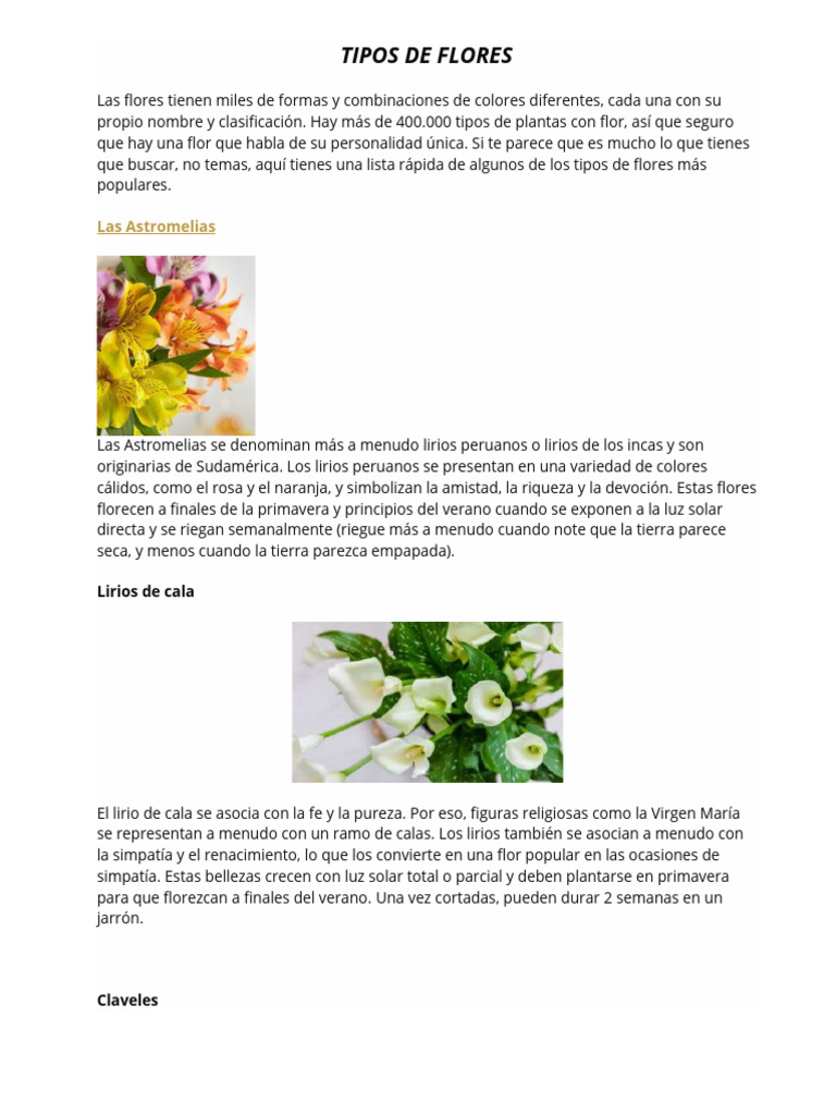 Tipos de Flores y sus Características | PDF | Flores | Tulipán