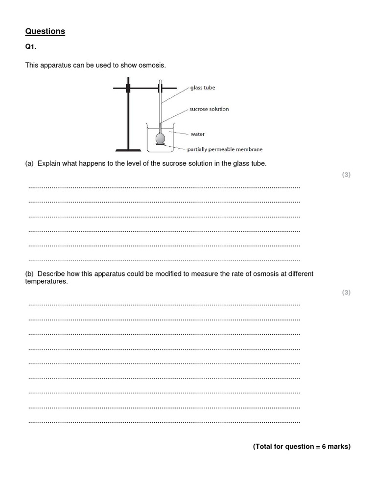 Osmosis Experiment Questions and Analysis | PDF | Area | Osmosis