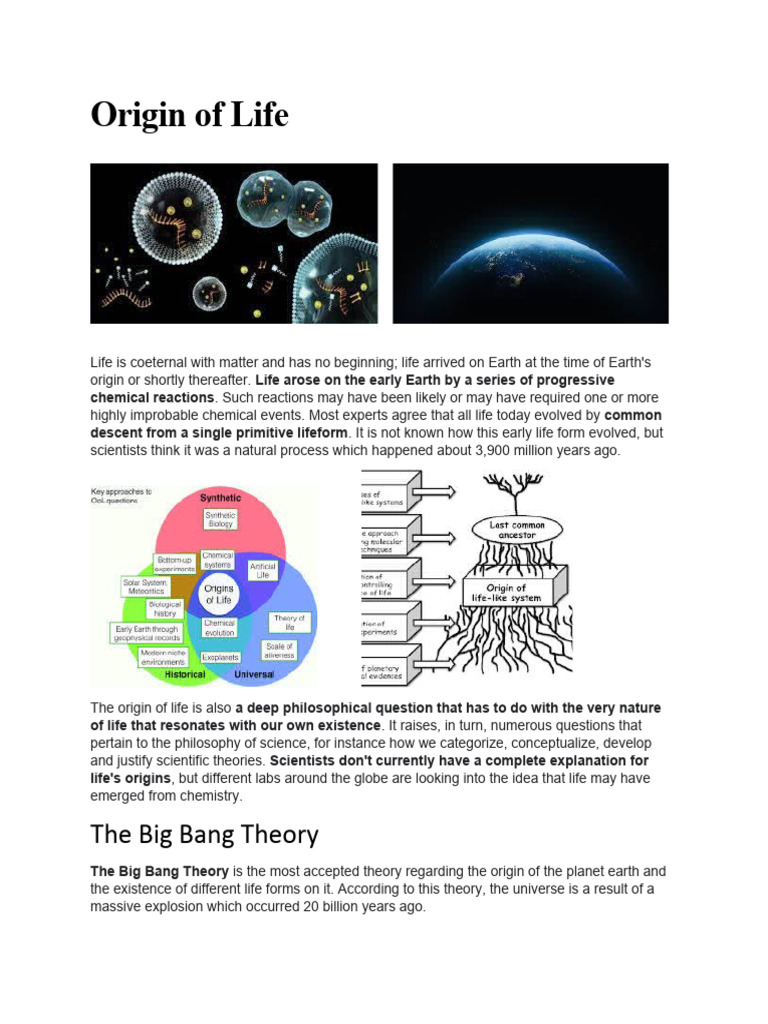 Origin of Life | PDF