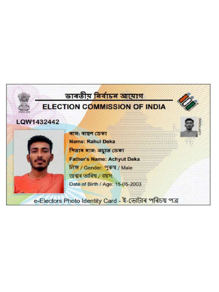Voter ID | PDF