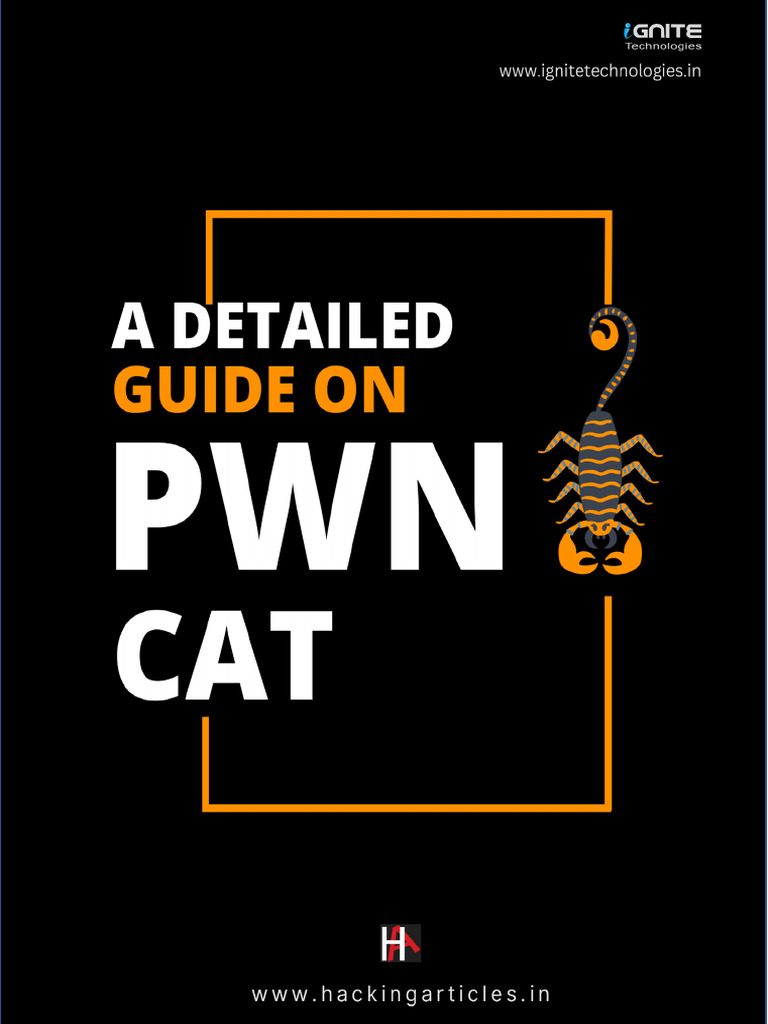 A Detailed Guide On Pwncat | PDF | Linux | Port (Computer Networking)
