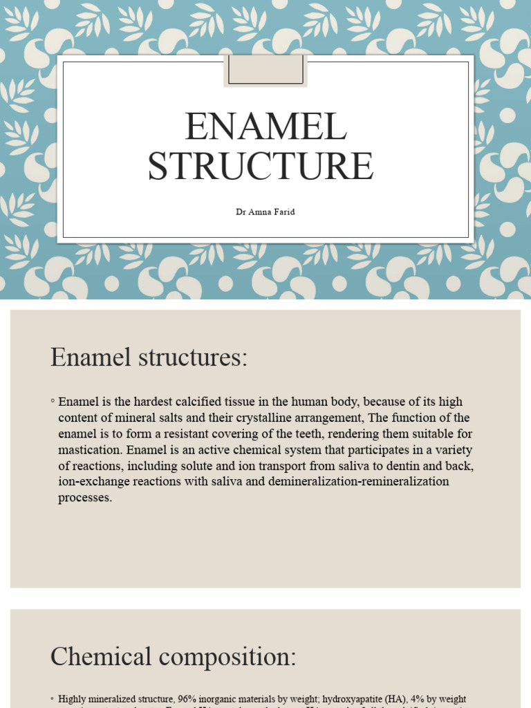 Enamel Structure | PDF | Tooth Enamel | Dentistry