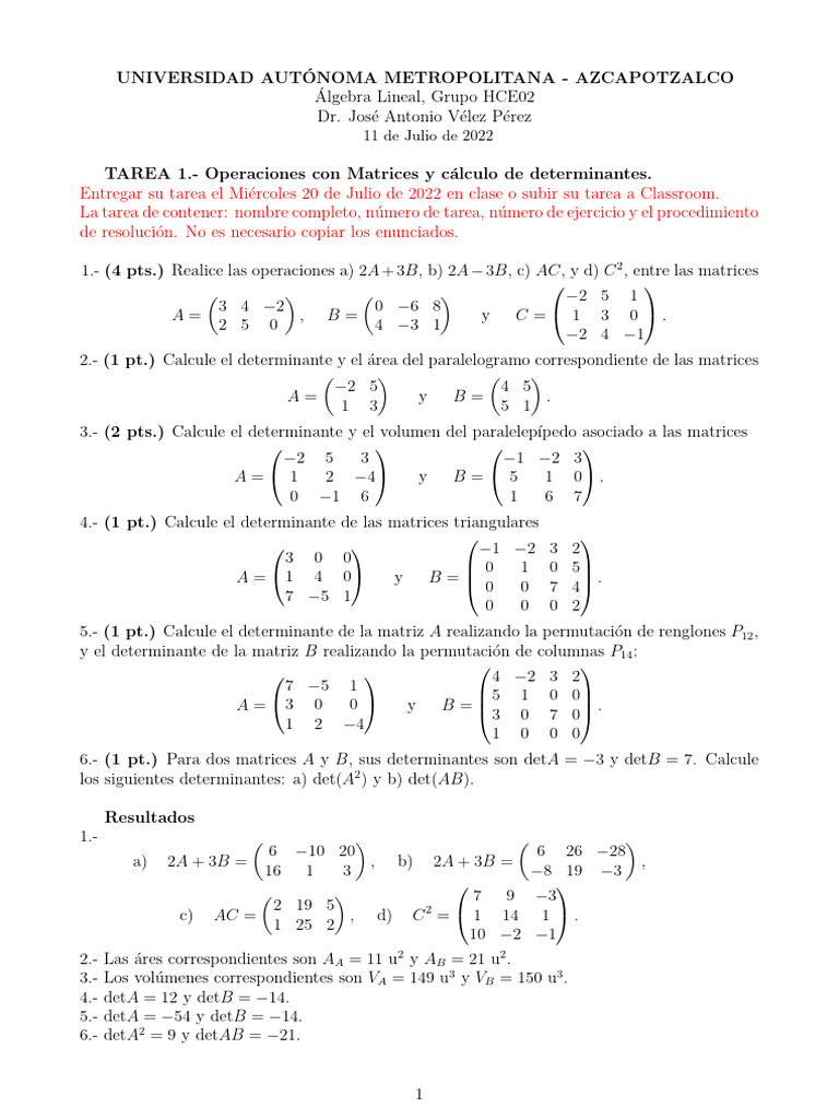 Tarea de Álgebra Lineal: Matrices y Determinantes | PDF | Determinante ...