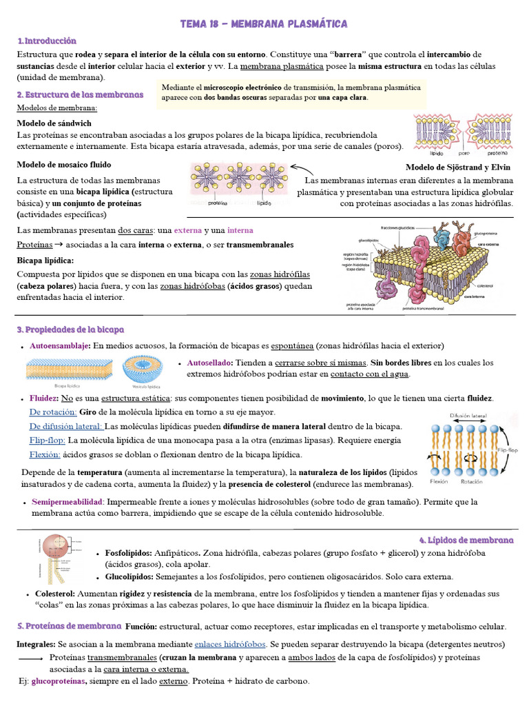 Tema 18 - Membrana Plasmática | PDF | Membrana celular | Bicapa lipídica