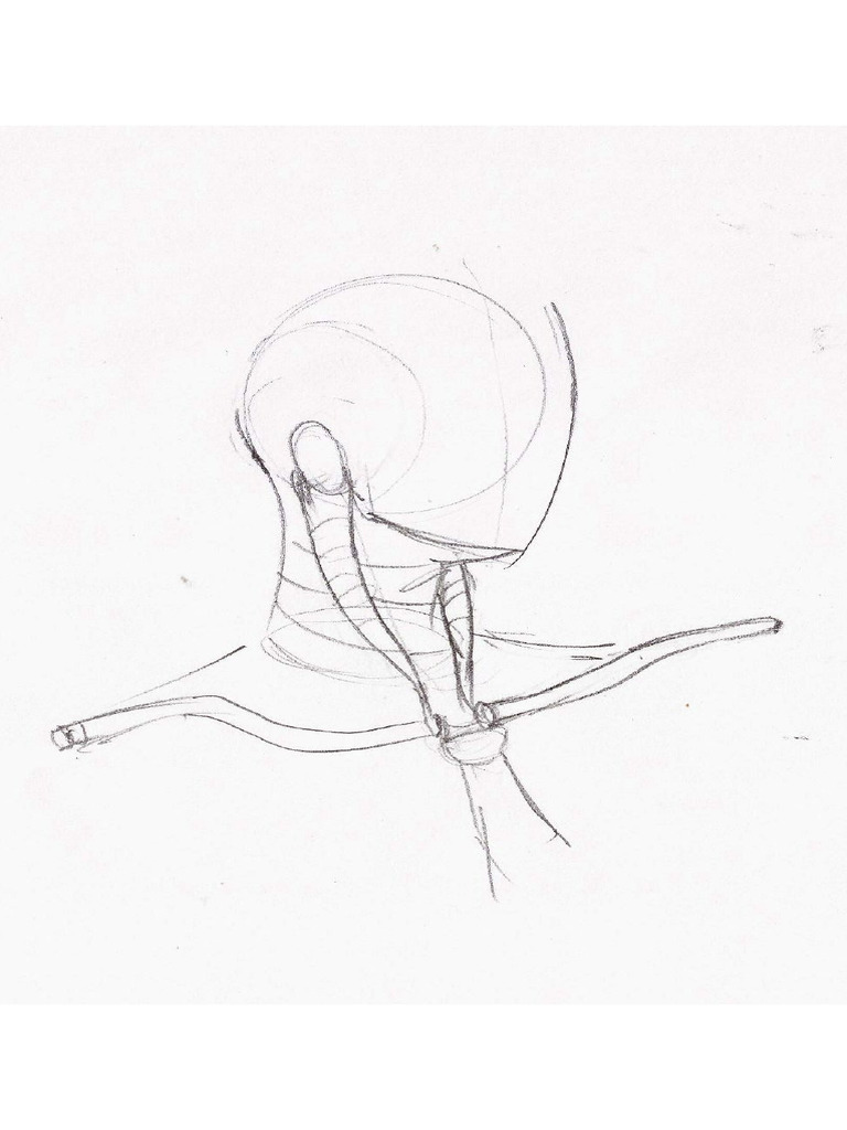 Anatomia Torso Exercicio1 | PDF