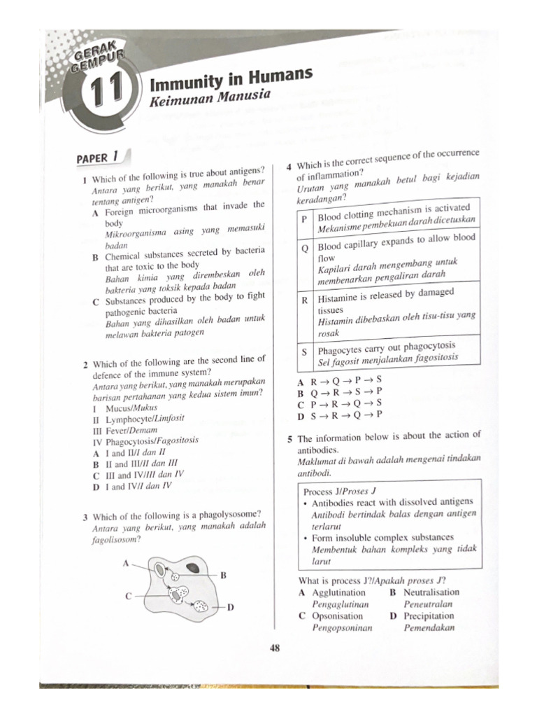 Latihan Bio Form 4 Bab 11 | PDF