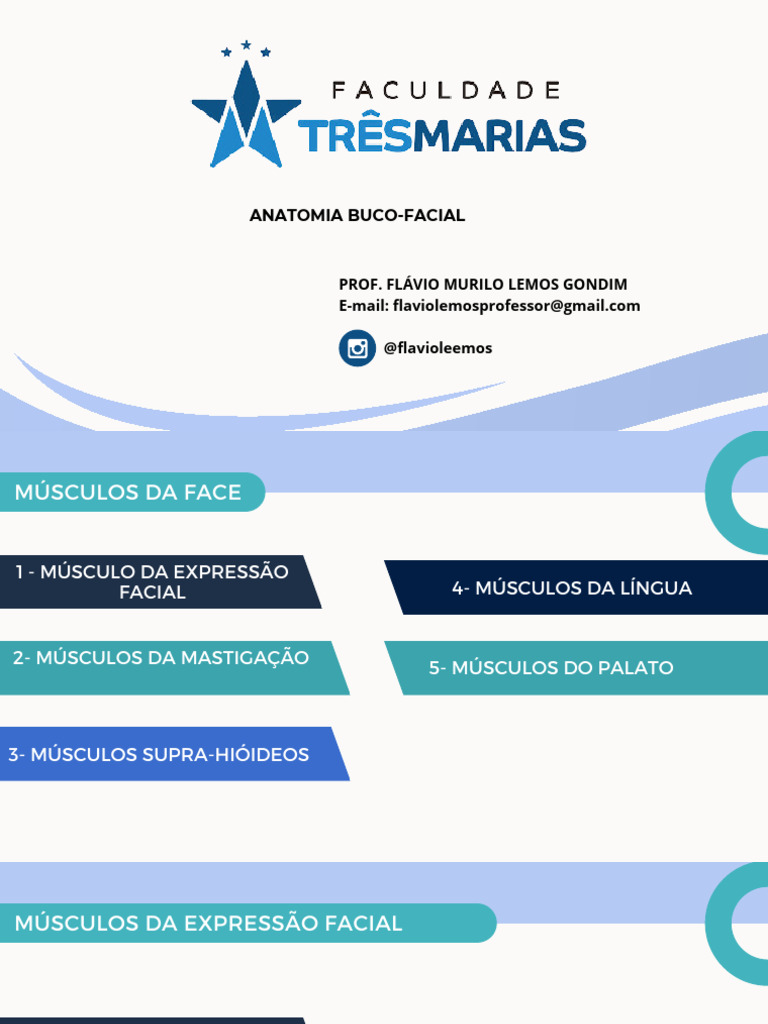 Músculos Da Face | PDF | Rosto | Sistema Locomotor