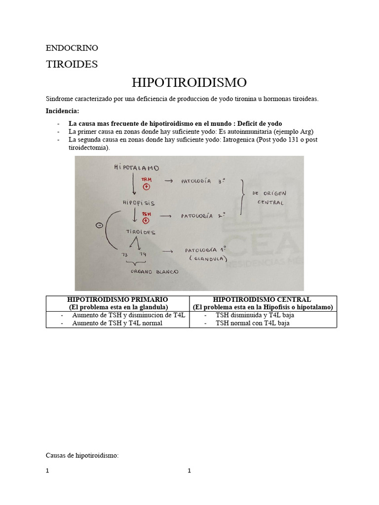 ENDOCRINO tiroides | PDF | Hipertiroidismo | Hipotiroidismo