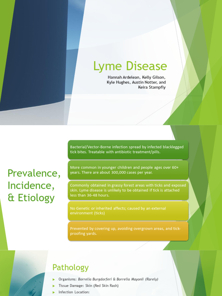 Lyme Disease 1 | PDF | Lyme Disease | Medicine