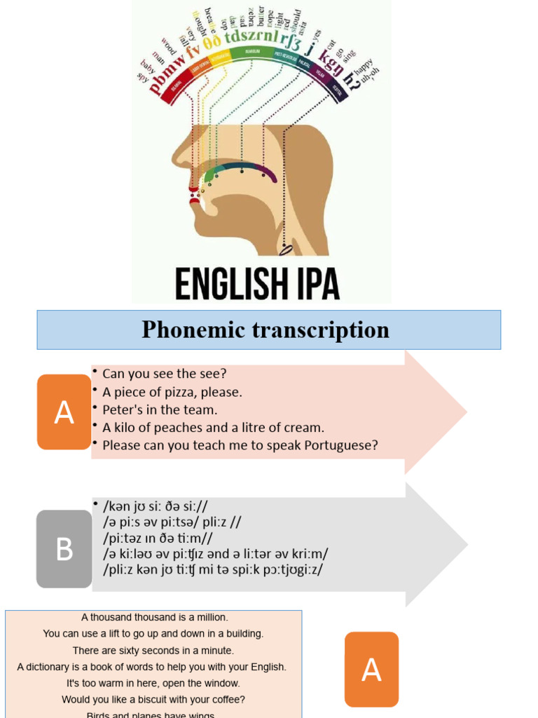 Transcription | PDF