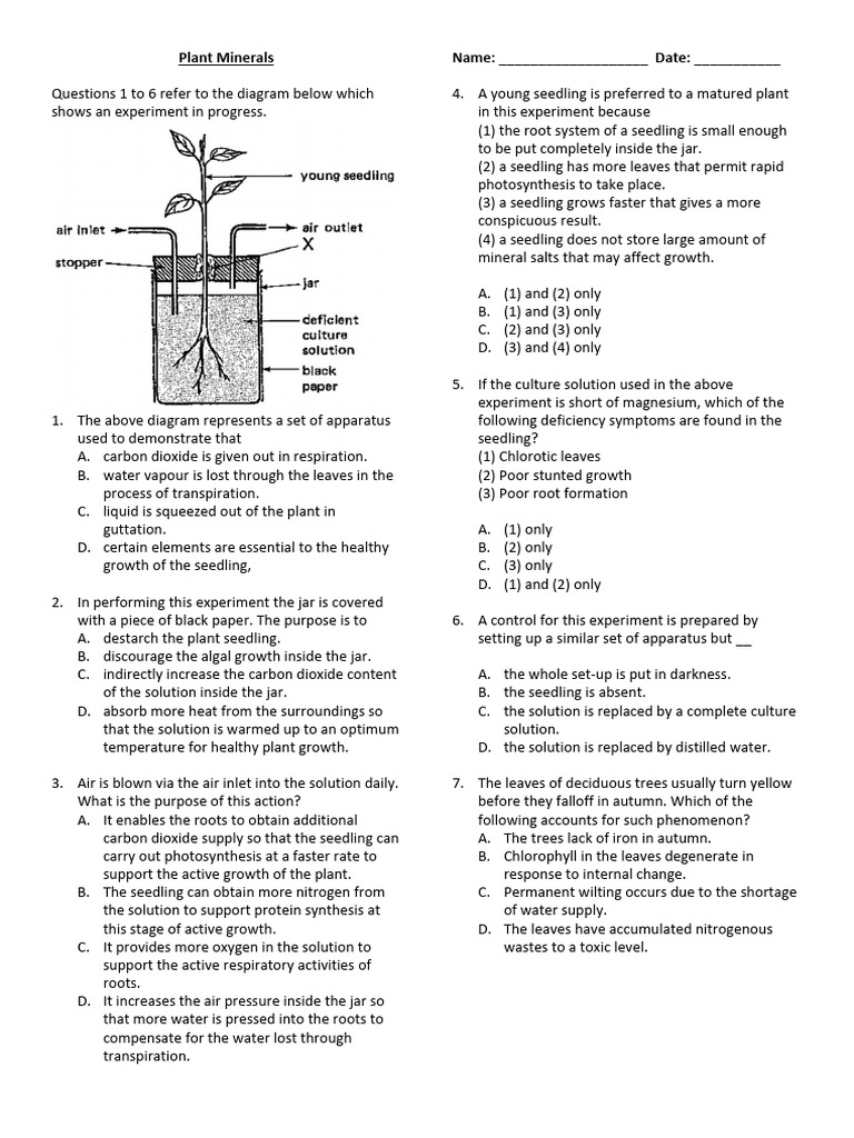 SA1 Revision Paper Plant Minerals | Download Free PDF | Leaf | Plants