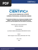 Escala San Elian Minsal | PDF | Pie | Enfermedades y trastornos humanos