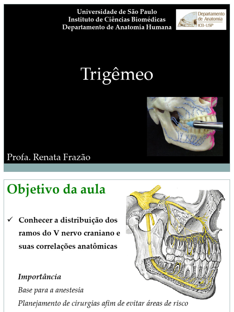 Nervo Trigêmeo Nn. Oftálmicos e Maxilar | PDF | Neuroanatomia | Rosto