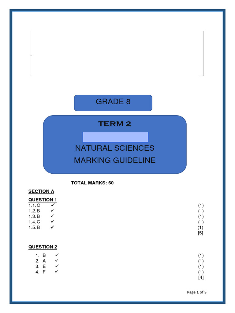 Grade 8 Natural Science Term 2 Test 2023 | PDF | Chlorine | Chemical ...