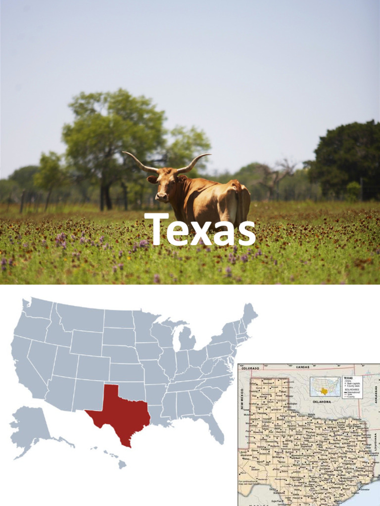 Texas | PDF